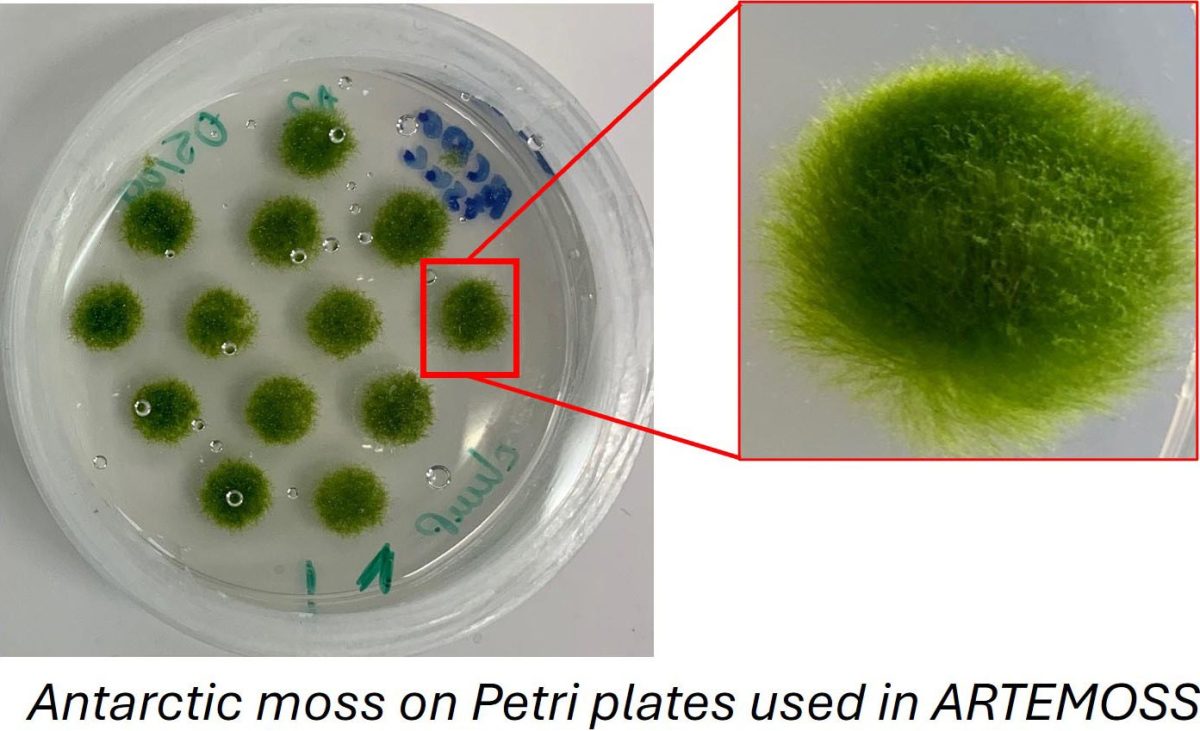 Docking Complete: SpaceX Dragon Soars to ISS with 6,000 Pounds of ...