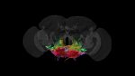 Neuroscience Game-Changer: Entire Fruit Fly Brain Mapped in Stunning ...