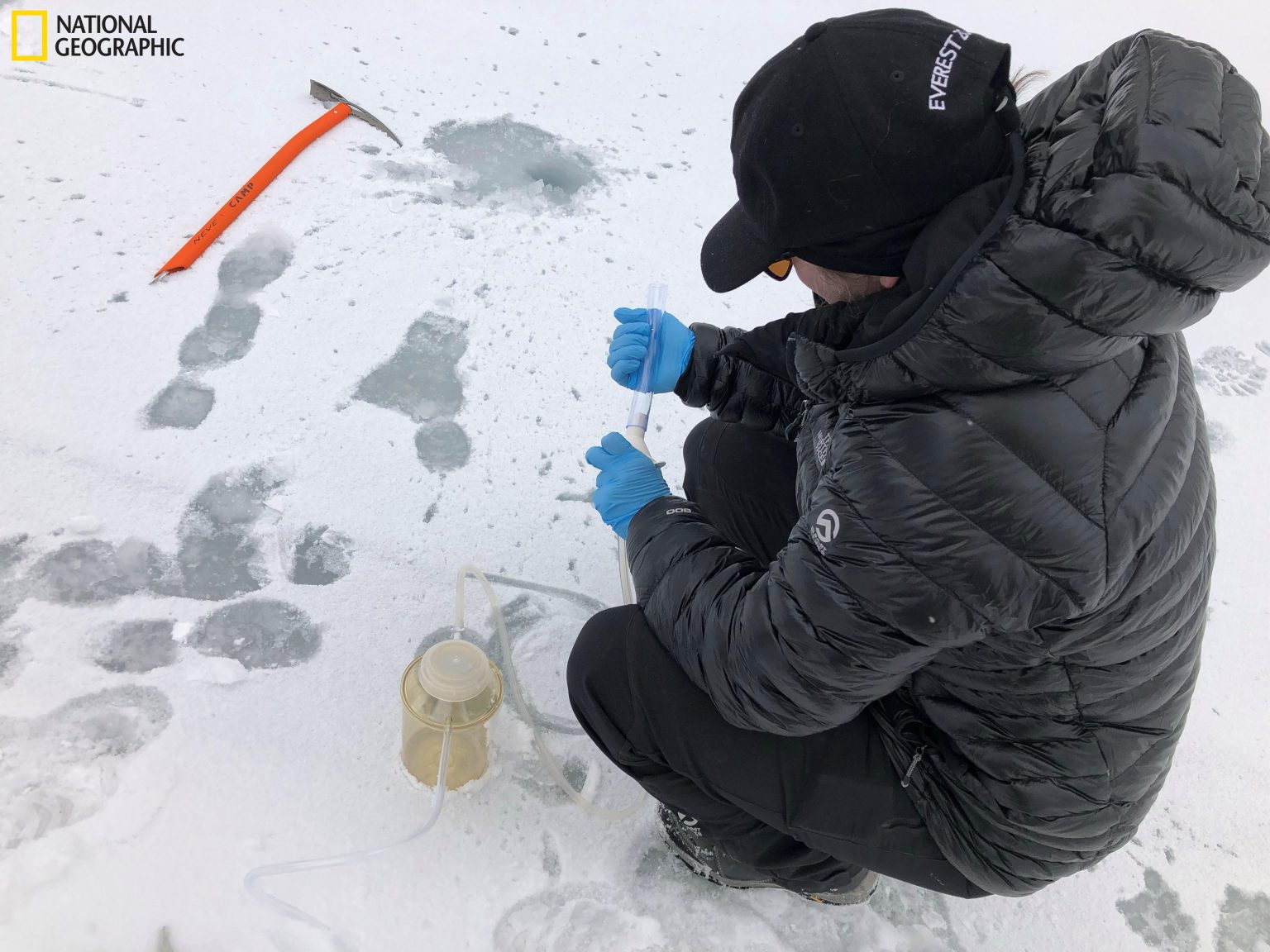 Scientists Solve Mount Everest Wildlife Mysteries Through the Use of eDNA