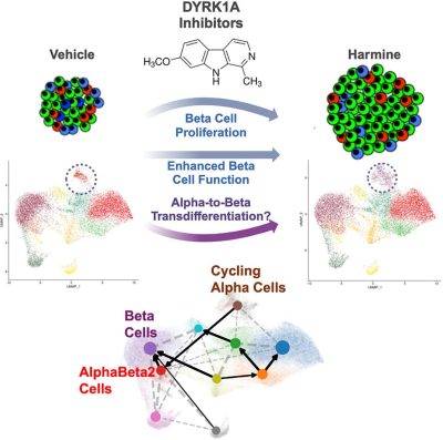 One Step Closer to a Cure: Breakthrough “Harmine Pill” Sparks Hope for ...