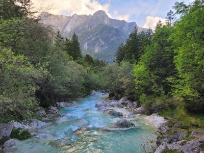 Scientists Reveal “A Fundamental Process in Nature” – The Environmental ...