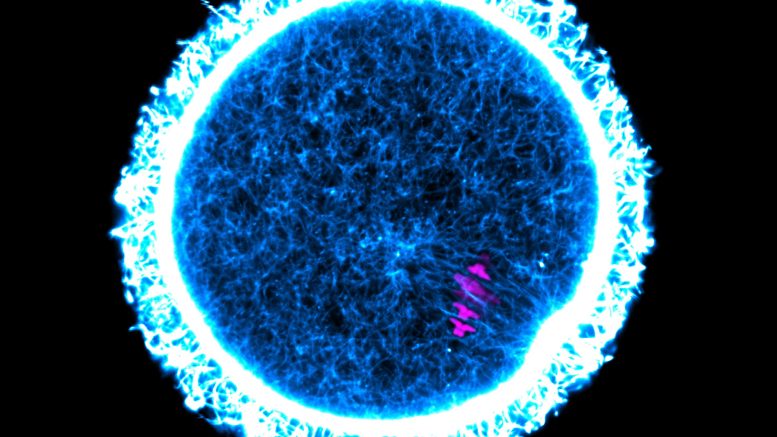 Latest Biology News & Discoveries: Cutting-Edge Research in Life ...