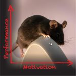 Too Much Motivation Affects Your Perception and Decision-Making