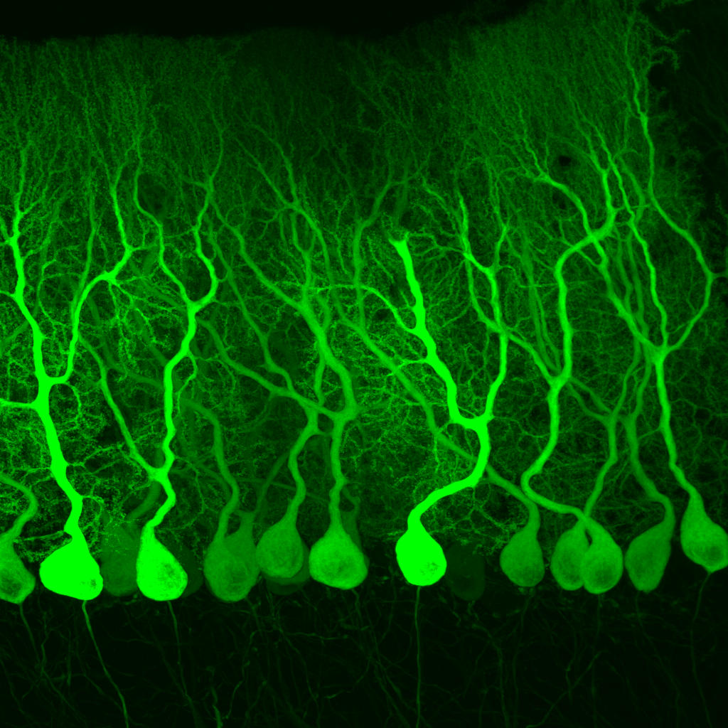 Rewriting Textbooks: Scientists Discover Unexpected Complexity of ...