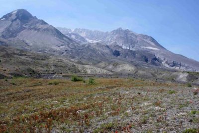The Day Gophers Revived Mount St. Helens: A 24-Hour Miracle