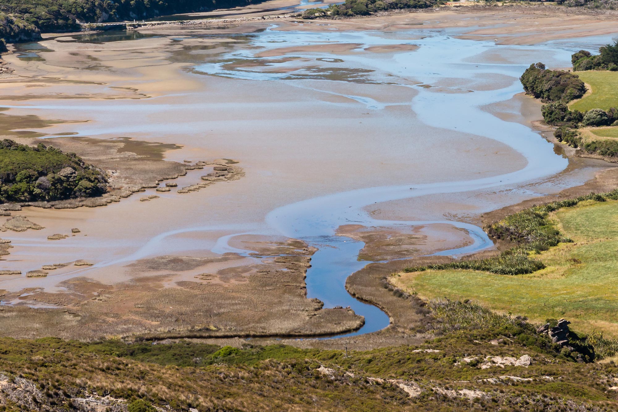 Potential New Painkiller As Potent As Opioids, but Far Safer, Found in ...