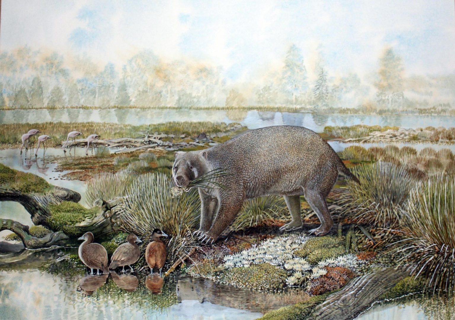 “Seriously Strange” New Extinct Family of Giant Wombat Relatives ...