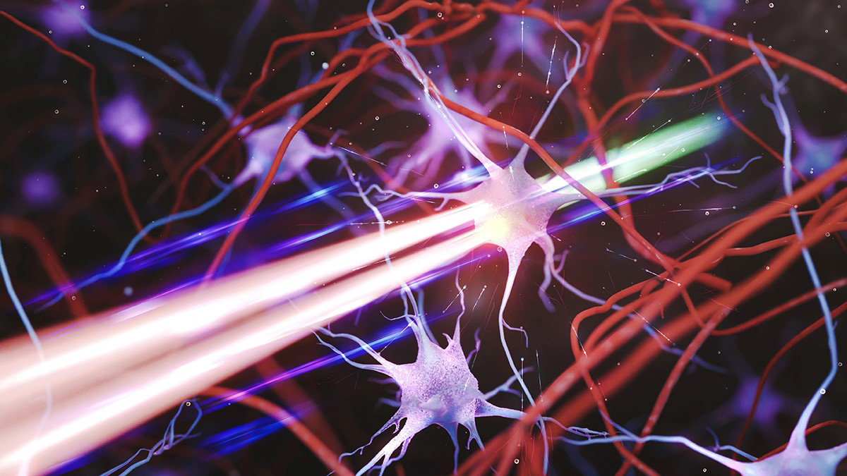 Revolutionary Microscope Unveils the Brain’s Deepest Secrets