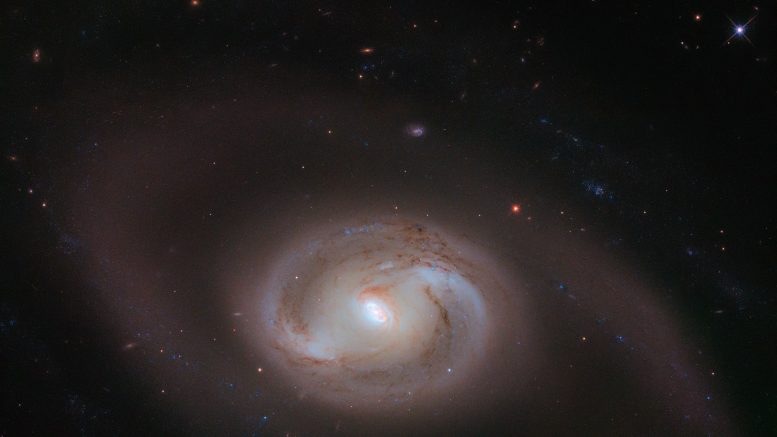 SciTechDaily - Page 1378 of 2097 - Science, Space and Technology News 2024