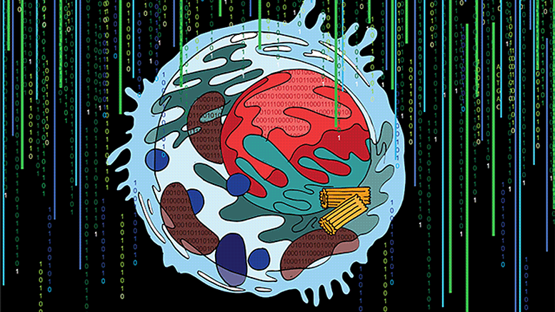 Bioinformatics News - SciTechDaily