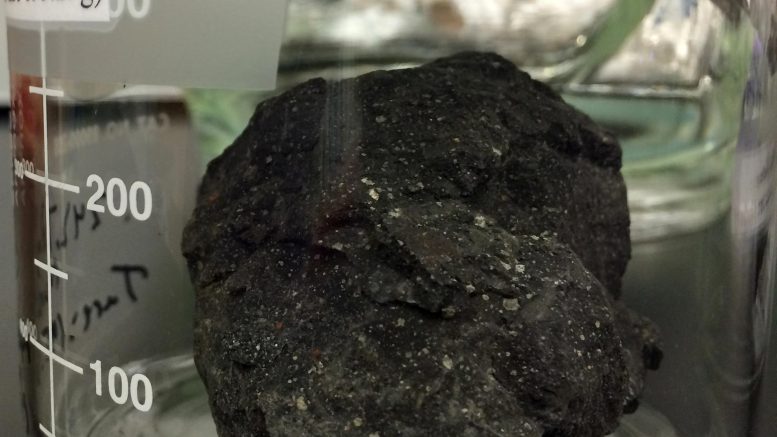 Amino Acids in Meteorites Provide a Clue to How Life Turned Left