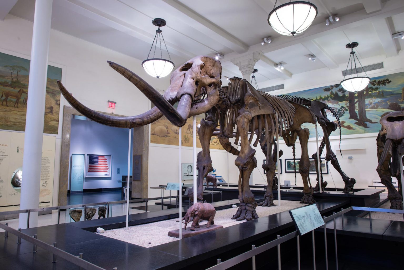 Climate Change Drove Mastodons to Migrate Vast Distances Back and Forth ...