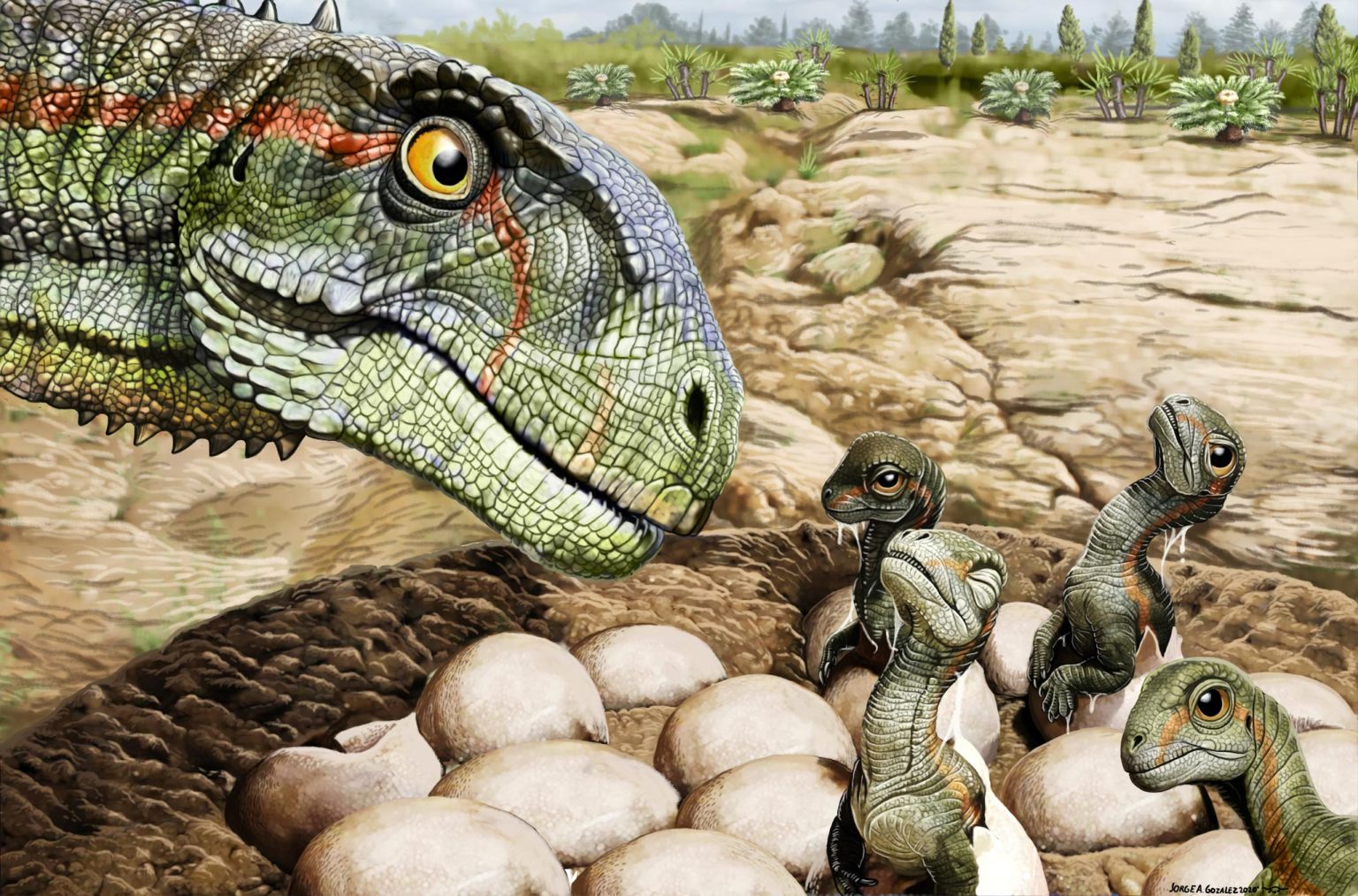 Fossil Treasure Trove Shows Complex Social Herd Behavior in Dinosaurs ...