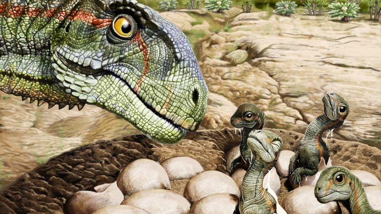 Incredible Dinosaur Treasure Trove in Italy Rewrites History, Geography ...
