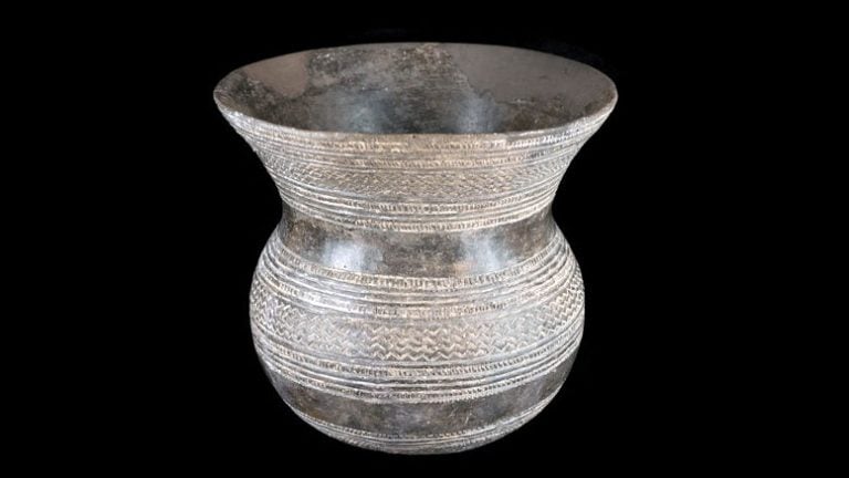 Scientists Reveal the Complex Story Behind the Beaker Phenomenon