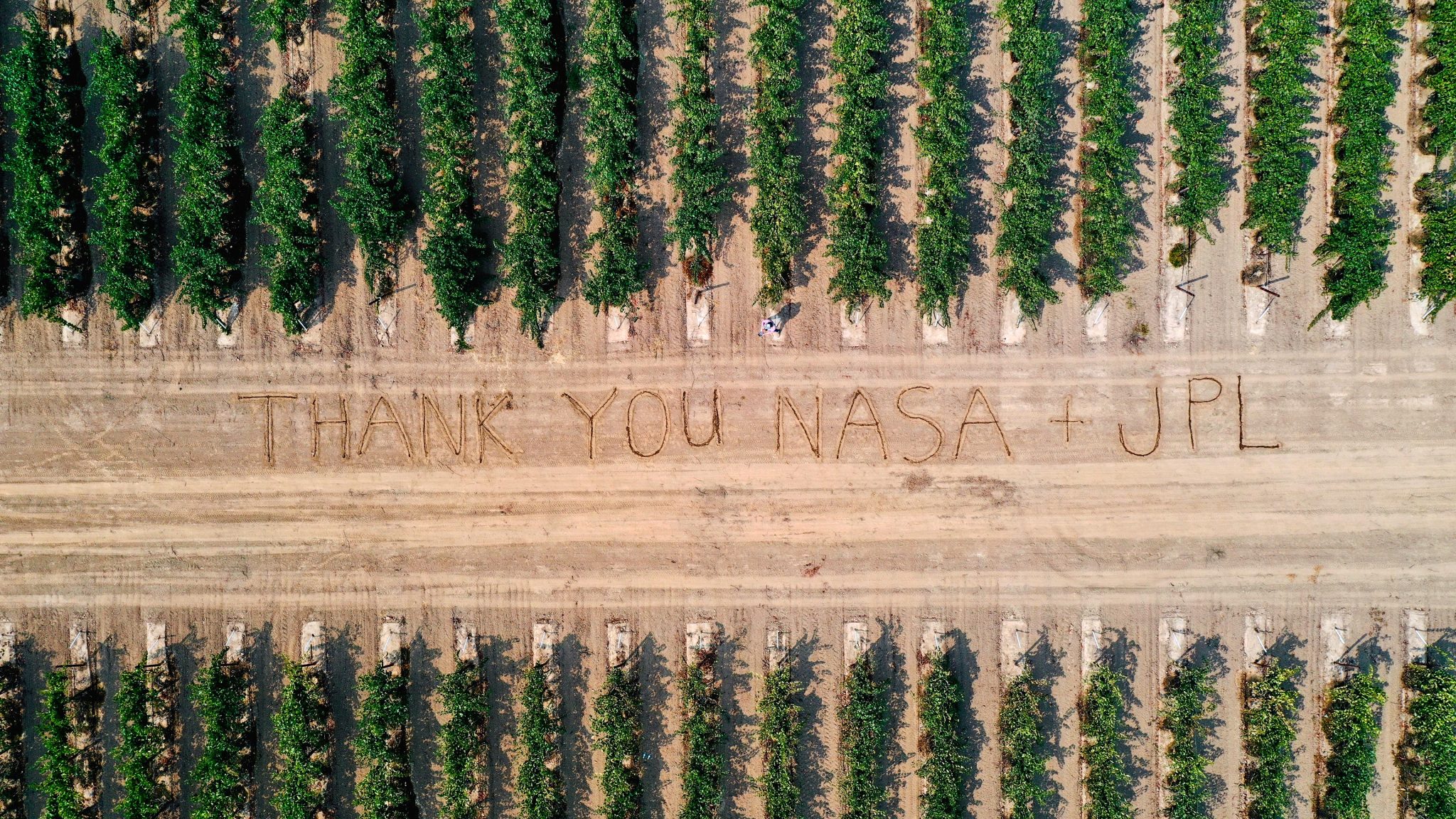 Vine Vision: NASA's Airborne Technology Spots Stealthy Grape Disease