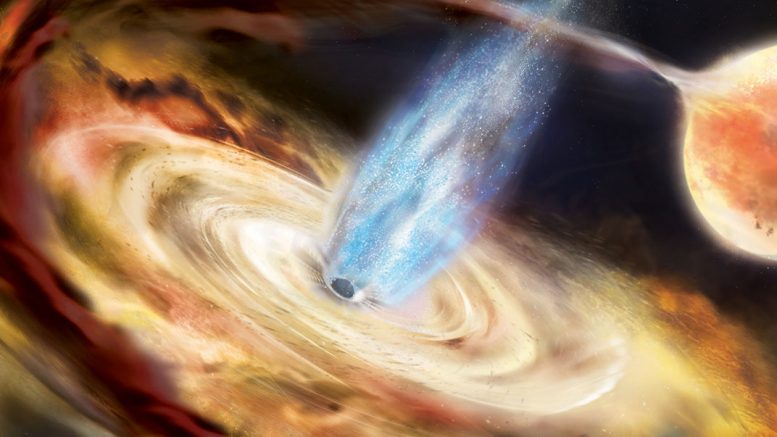 Magnetic Field Interacting with Gravity and Spin Shape Black Hole's ...