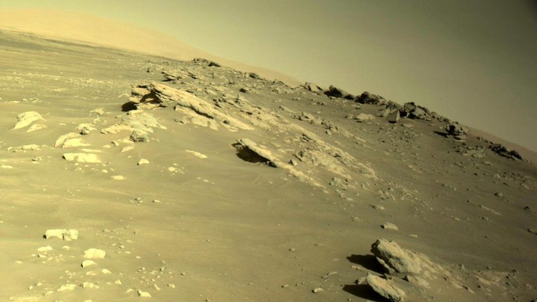 Docking the Robotic Arm on NASA's Mars Perseverance Rover