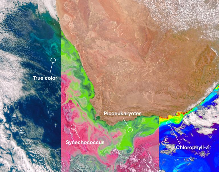 NASA’s PACE Data Is Redefining Our View of Earth’s Climate and Oceans