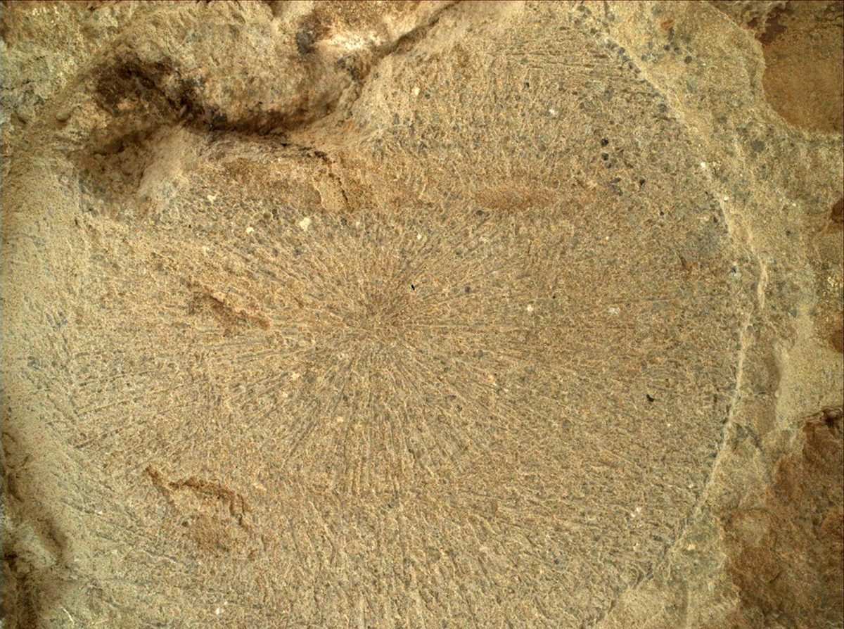 From Light Stones to Dark Mysteries: Perseverance’s Thrilling Hunt on Mars