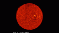 NASA’s Solar Dynamics Observatory Spots a Lunar Transit