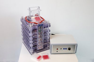 A Better Way To Grow Meat in the Lab: Zapping Cells With a Magnet