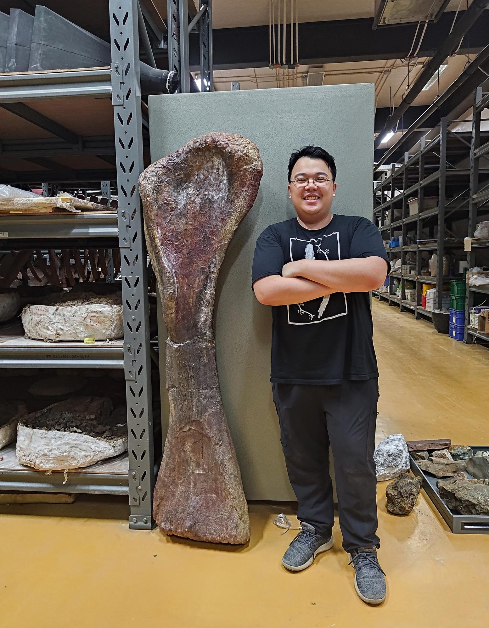 Giant “Last Titan” Dinosaur Discovered in Thailand Was Bigger Than 9 ...