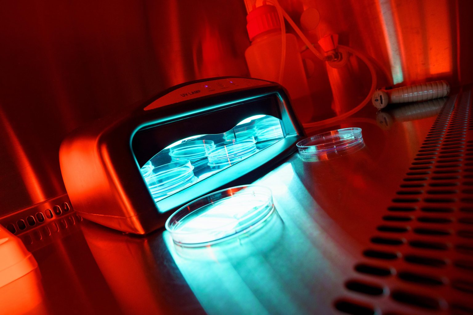 Scientists Warn That UV-Emitting Nail Polish Dryers Damage Human DNA ...