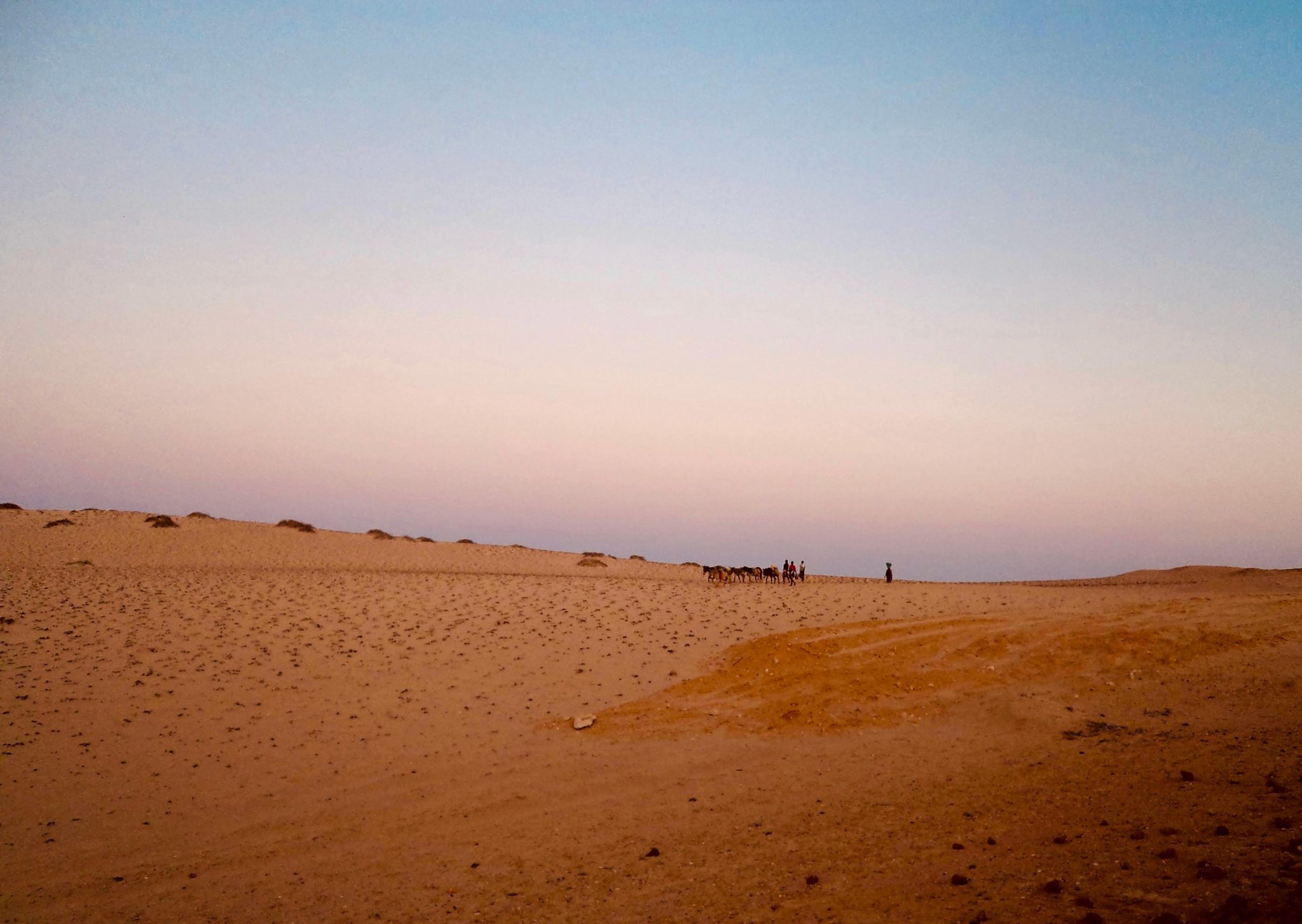 Africa’s DNA Mystery: Tracing Humanity’s Forgotten Lineages in the ...