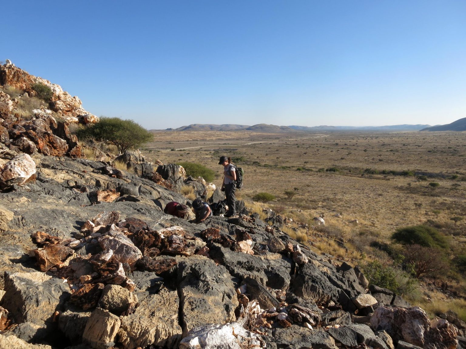 Remarkably Well-Preserved Fossils Helping to Solve Baffling Puzzle That ...