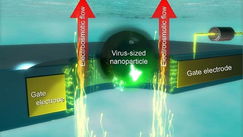 Amplifier Chip Measures Nanopores With High Speed Precision