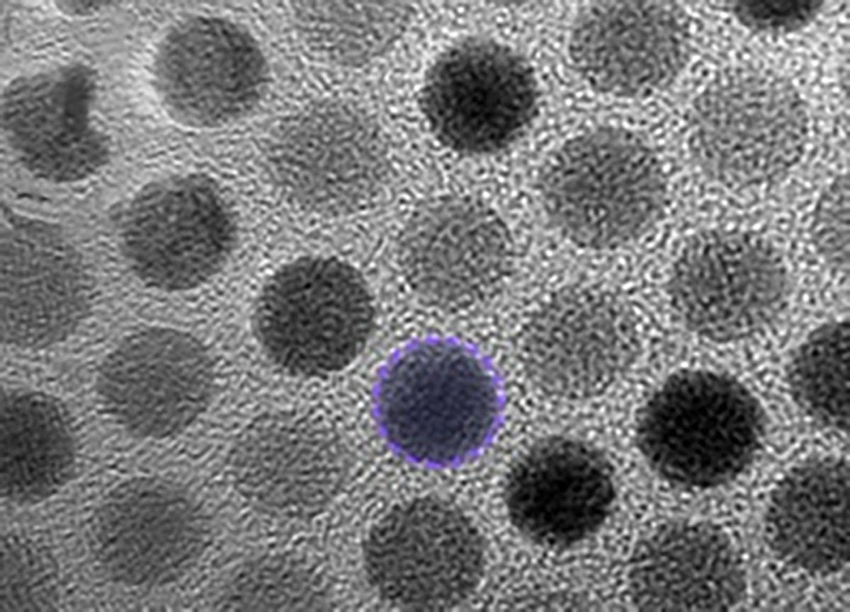 Hidden Phase of Matter Finally Captured After Decades of Predictions