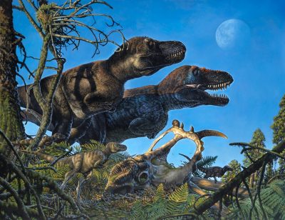 Discovery of Tiny Bones and Teeth Reveals Multiple Dinosaur Species ...