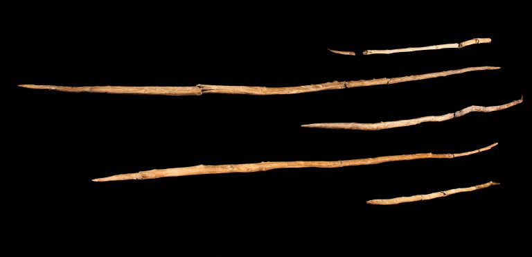 War in the Time of Neanderthals: How Our Species Battled for Supremacy ...
