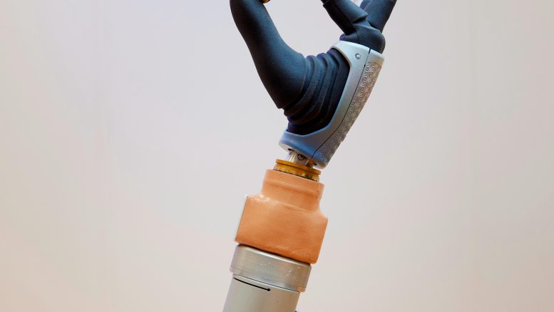 Biomedical Engineering News - SciTechDaily