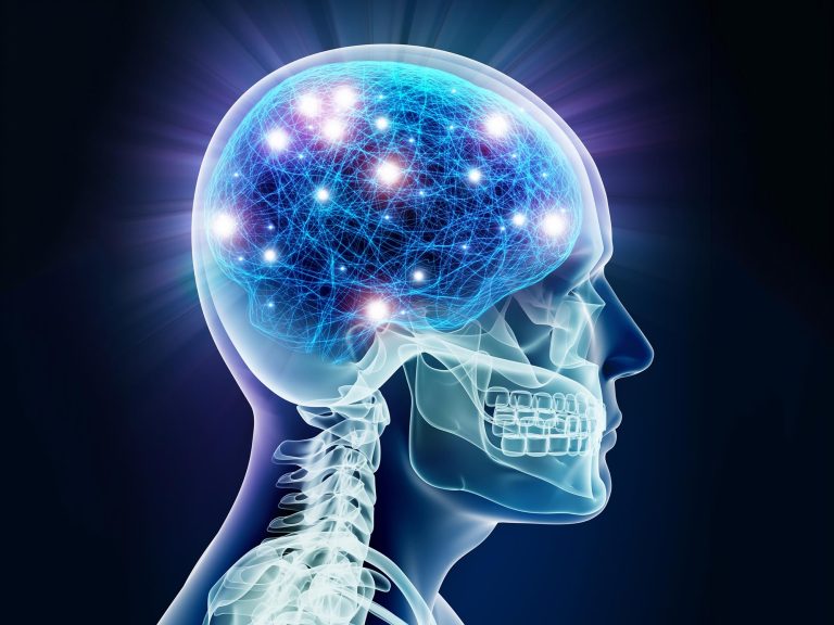 Scientists Identify Key Protein That Could Reverse Brain Aging