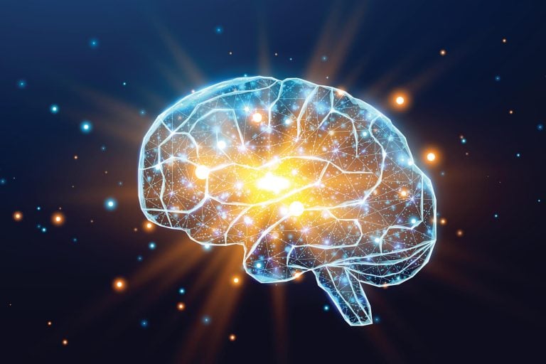 Your Brain Doesn’t Magically Finish Developing at 25. Here’s What ...