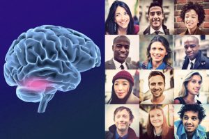 Neuroscientists Pinpoint Neurons That Help Tell Faces Apart