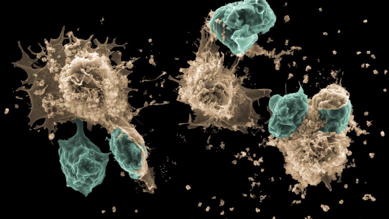 Latest Biology News & Discoveries: Cutting-Edge Research in Life ...