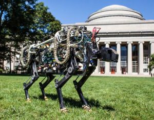 Untethered Electric Robotic Cheetah Runs and Jumps Across the Grass