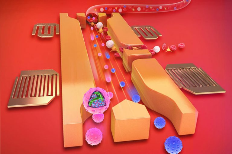 New Microfluidic Device Uses Acoustics to Quickly Analyze Blood