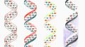 New Technology Increases Sequencing Power To Help Decode the Genome of ...