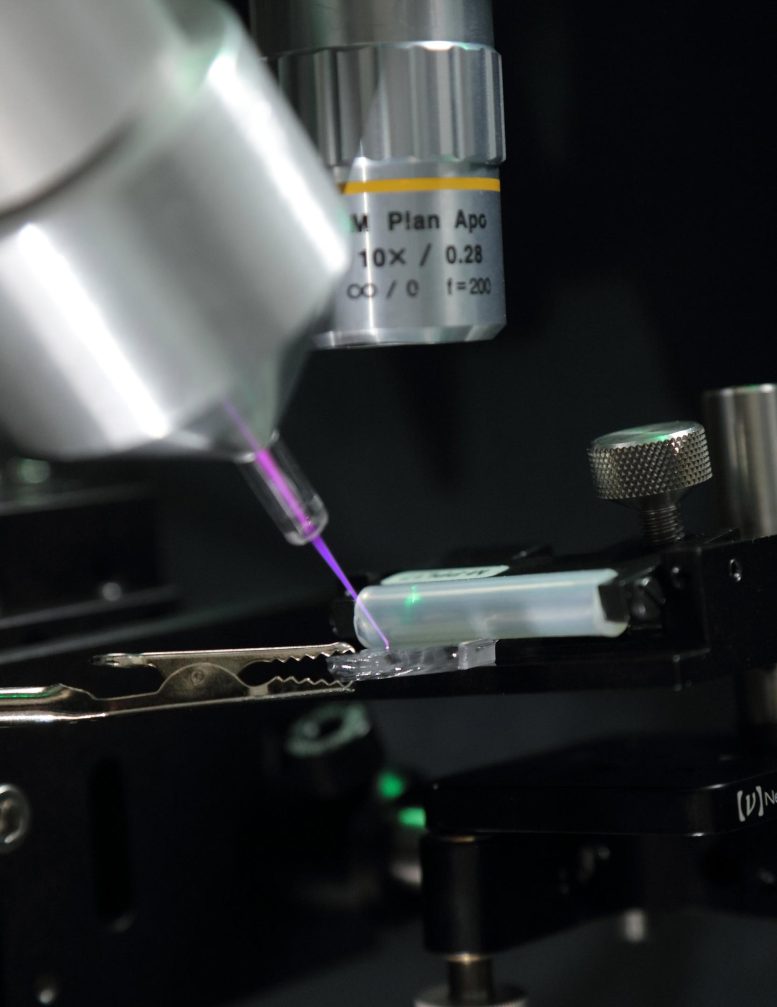 Freeze Ray Blueprints