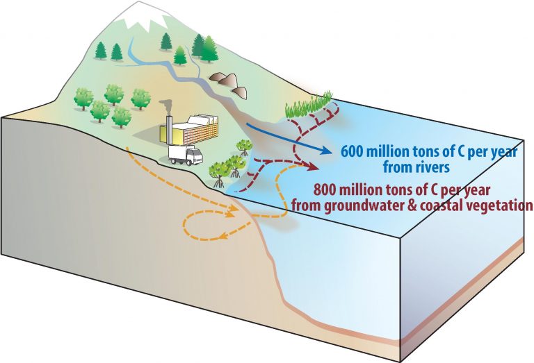 Twice As Much Carbon Flowing From Land to Ocean Than Previously Thought ...