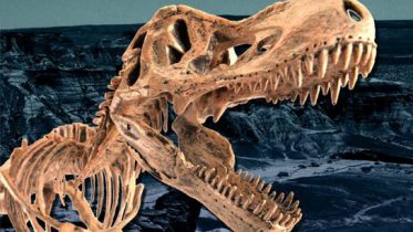 Carnufex Carolinensis - North America’s Top Predator Before Dinosaurs?