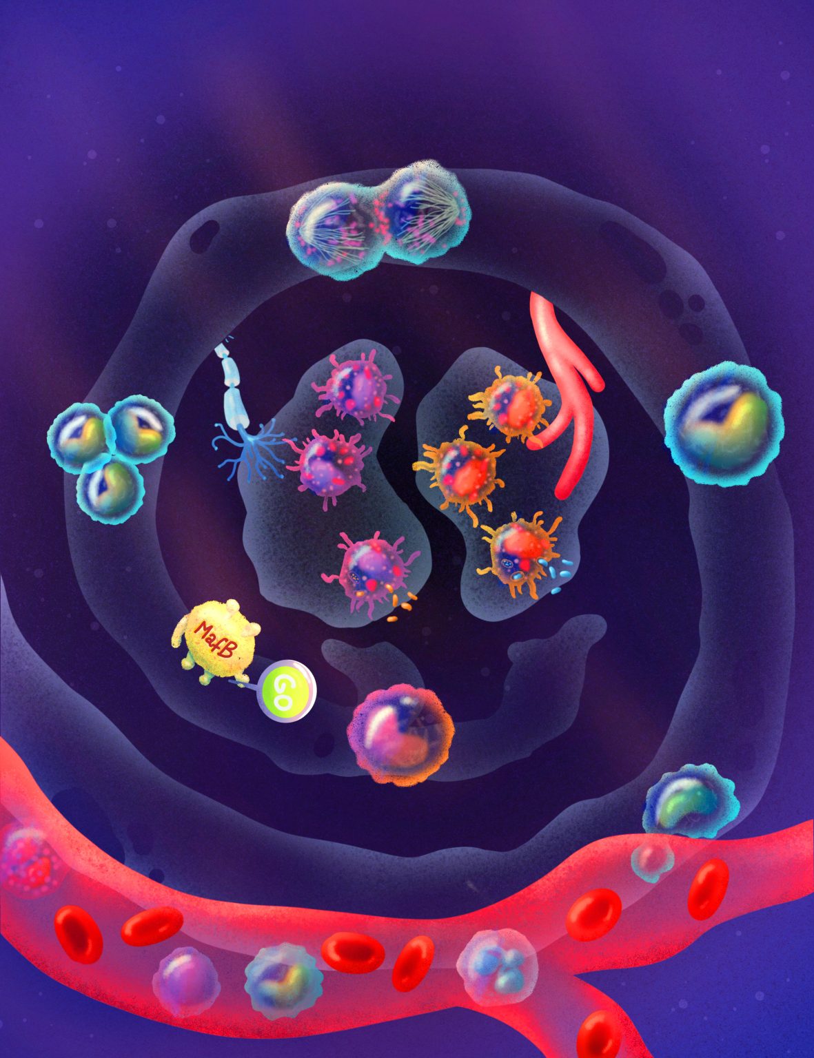 Scientists Discover Unexpected Function of Blood Immune Cells