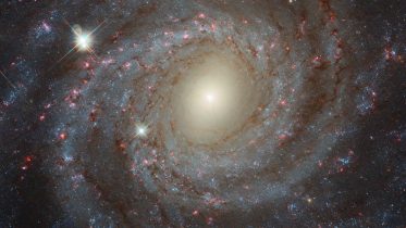 Hubble Views Intermediate Spiral Galaxy NGC 1566