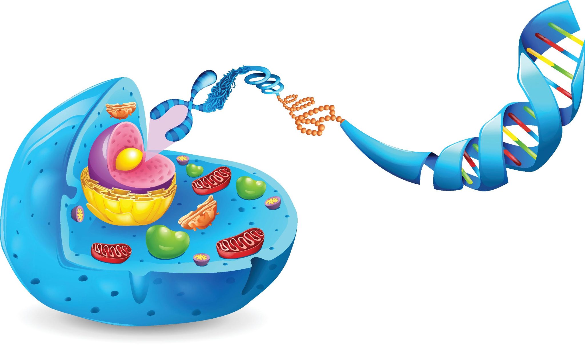 Triplex Origami: A Game-Changer in Gene Therapy and DNA Nanotechnology