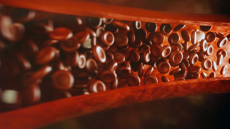 Scientists Identify Factor in “Young Blood” That Helps Rejuvenate Aging ...