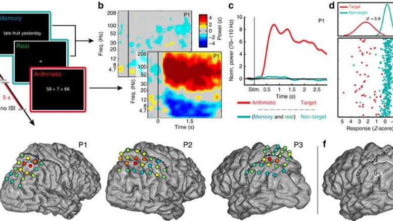 The Culturally Co-opted Brain: How Reading Changes the Way We Think